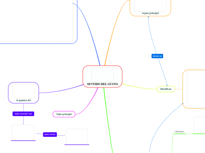 SENTIDO DEL GUSTO - Mind Map